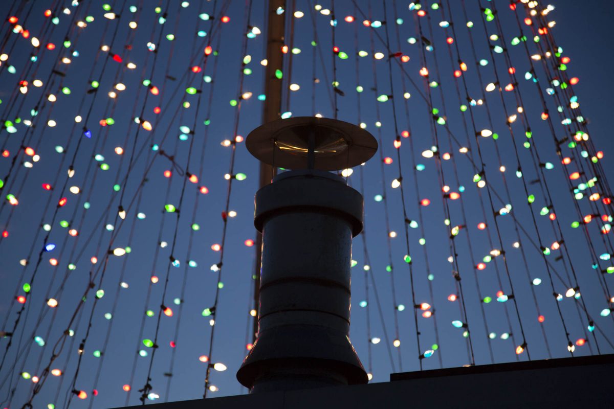 A tree of light | The New Fillmore