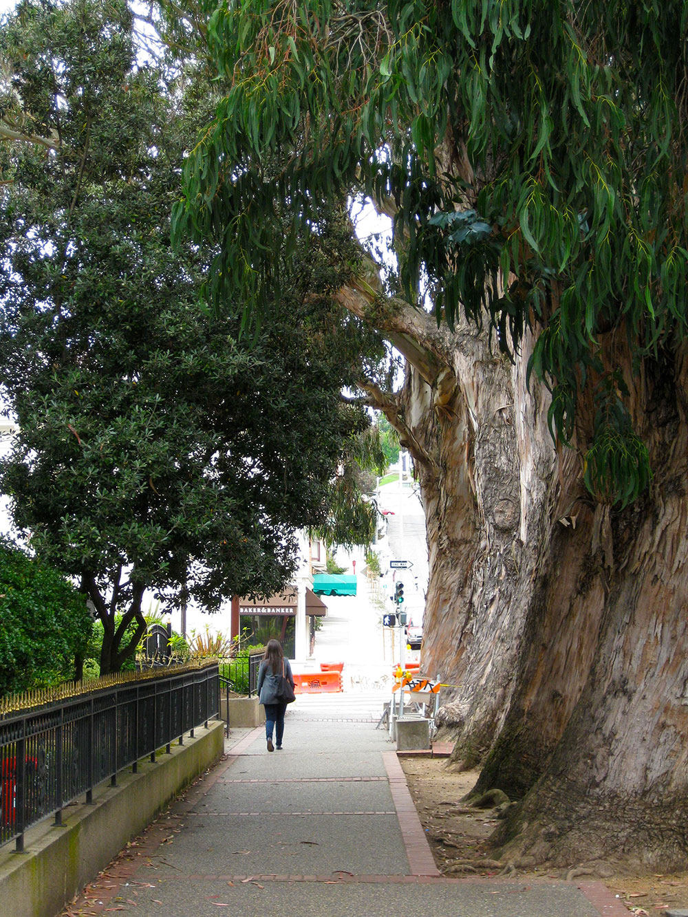 Mary Ellen Pleasant’s legendary life – THE NEW FILLMORE